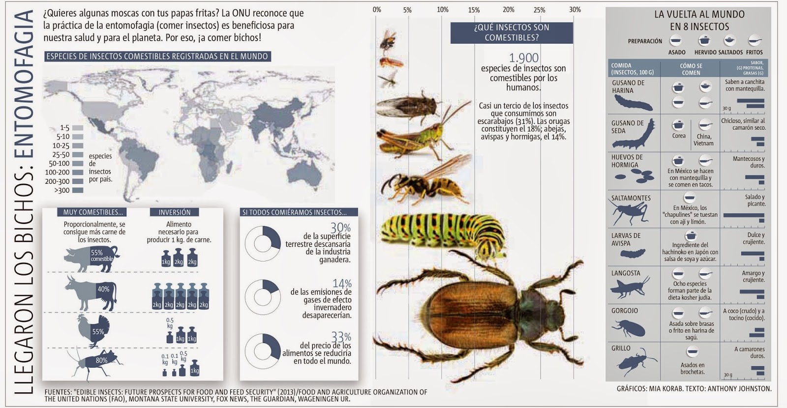 Entomofagia como dieta del futuro: Imágenes