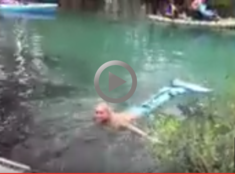 Real Mermaid Rescue and release TV footage | Forex 35 Top News