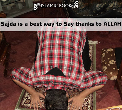 Islamic Wallpaper: Sajdah- Sajda, Type of Sajdah | Islam - Muslim