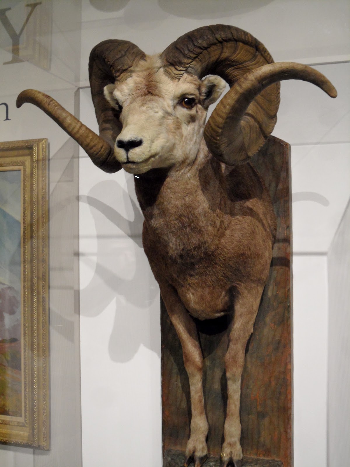 Travel Bug: Hodgepodge -- Sat., Aug. 18