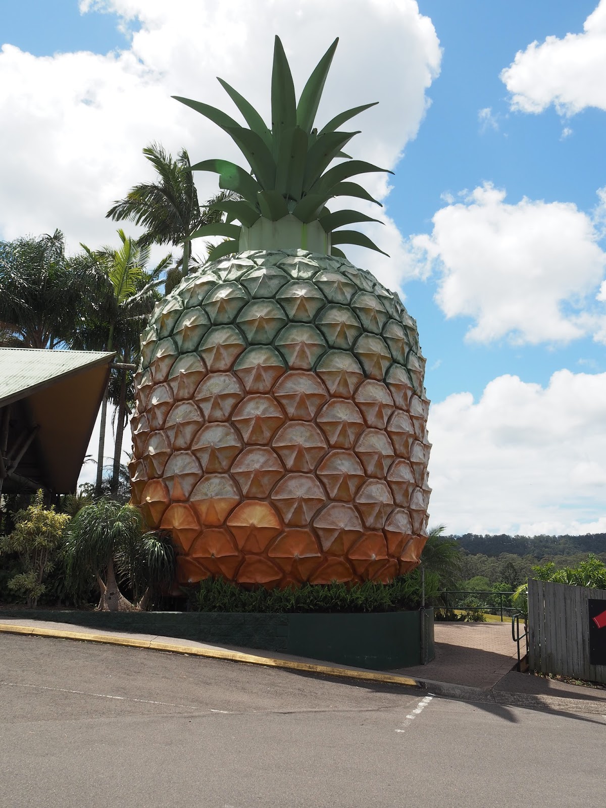 Remember the Big Pineapple