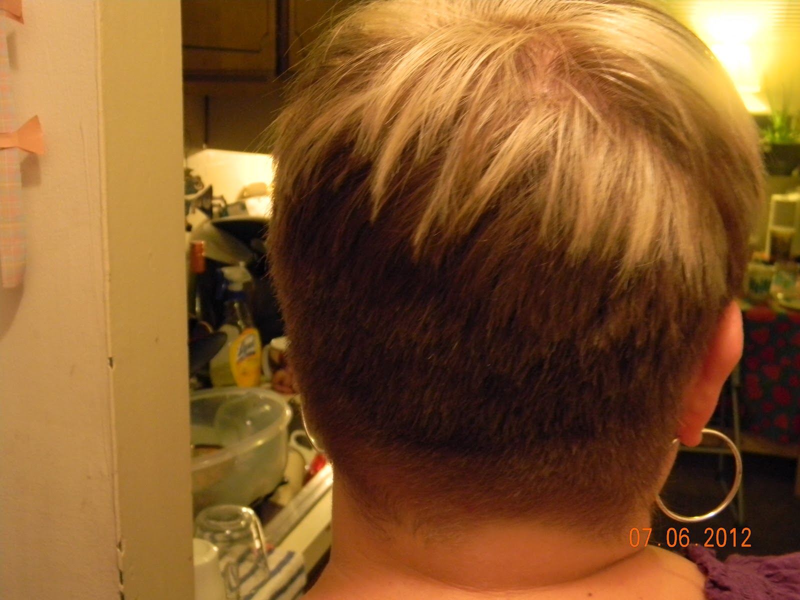 The Pixie Revolution: The July Haircut