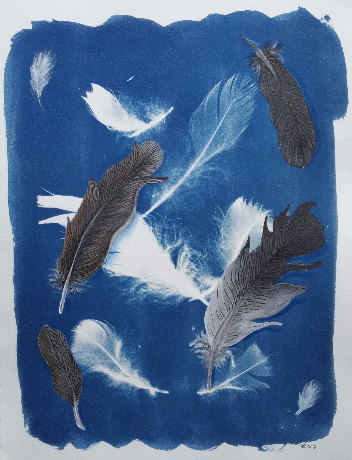 Feather Cyanotypes, Part Two