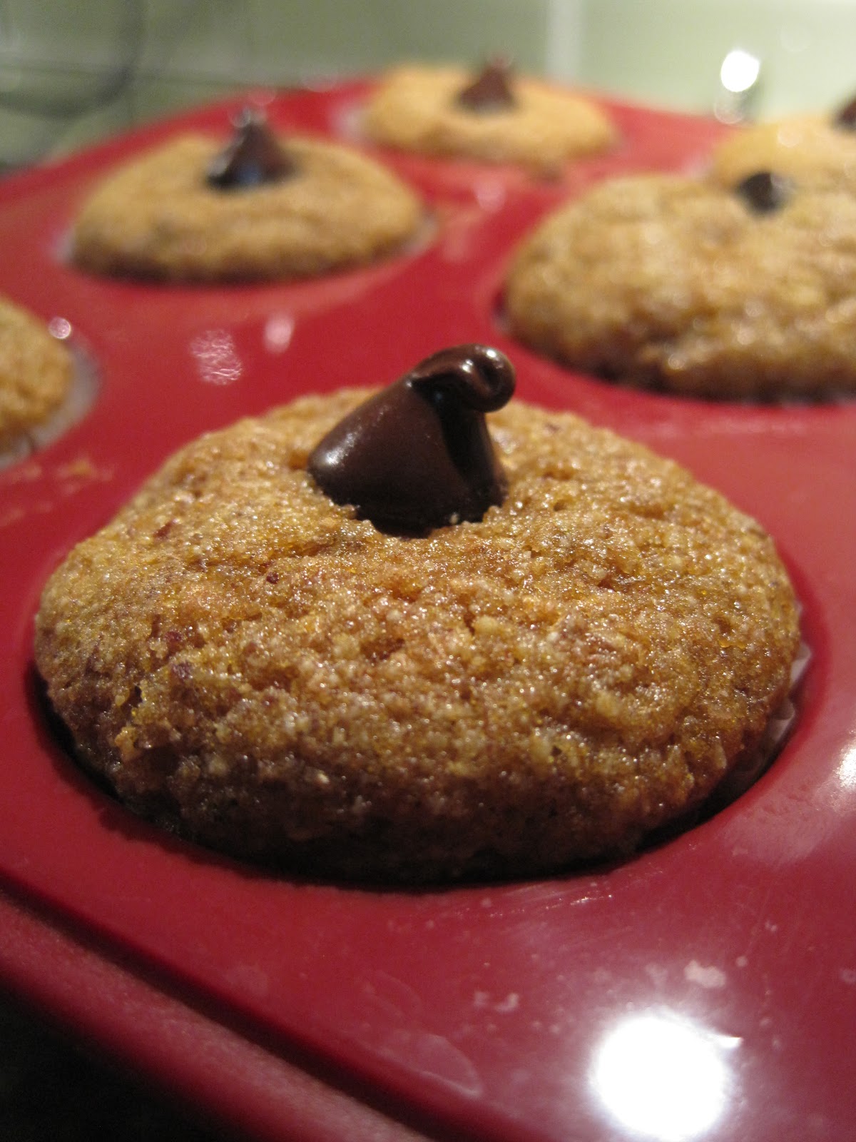 "Pump Up Your Milk" Pumpkin Chocolate Chip Muffins