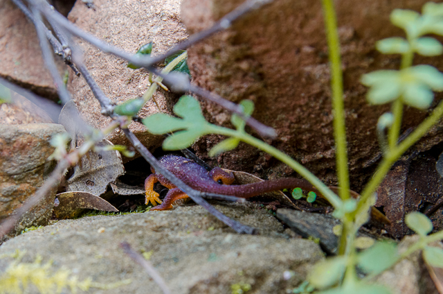 Dipper Ranch: Driveway Moment