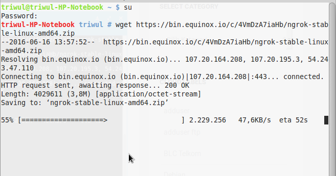 CARA MENGGUNAKAN NGROK UNTUK TUNNELS KE LOCALHOST LEWAT INTERNET ~ Tri ...