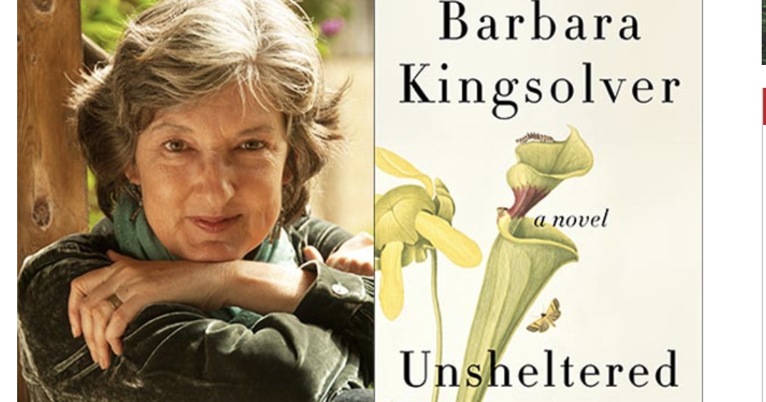 The Official SCBWI Blog: 5 Writing Tips from the Amazing Barbara Kingsolver