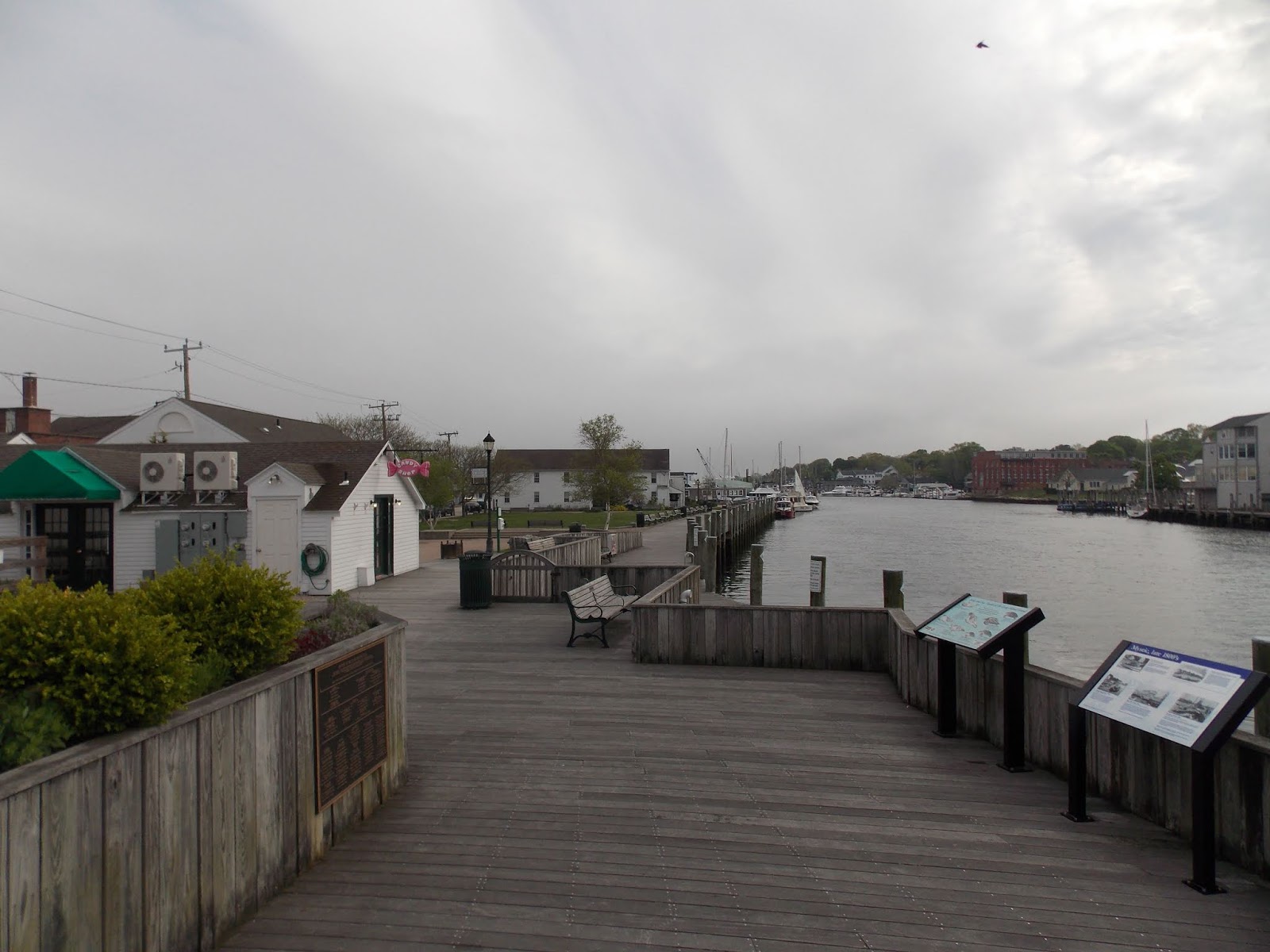 CHINAR SHADE : THE BEAUTIFUL MYSTIC SEAPORT TOWN (Connecticut State)
