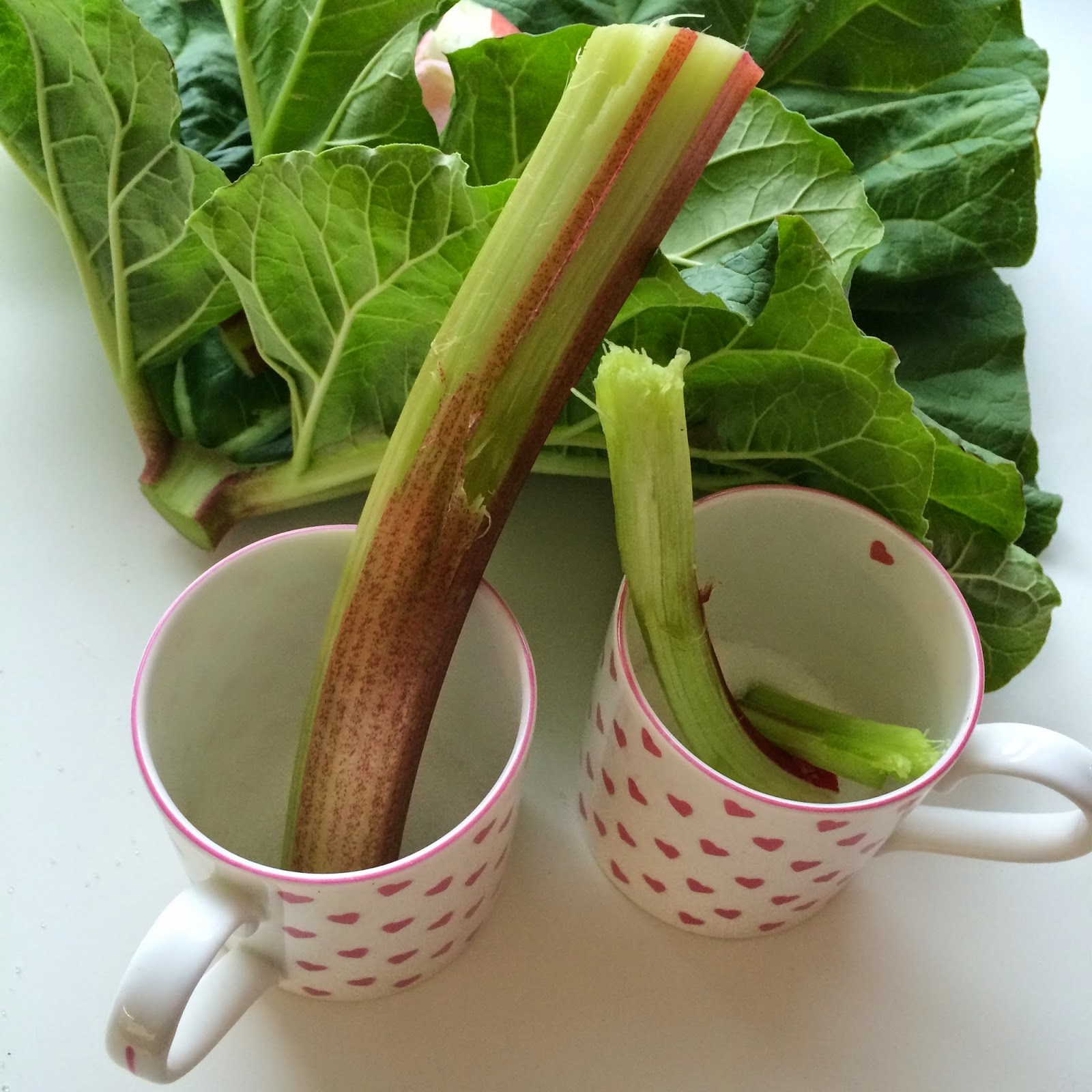 Rekordtidlig rabarbra