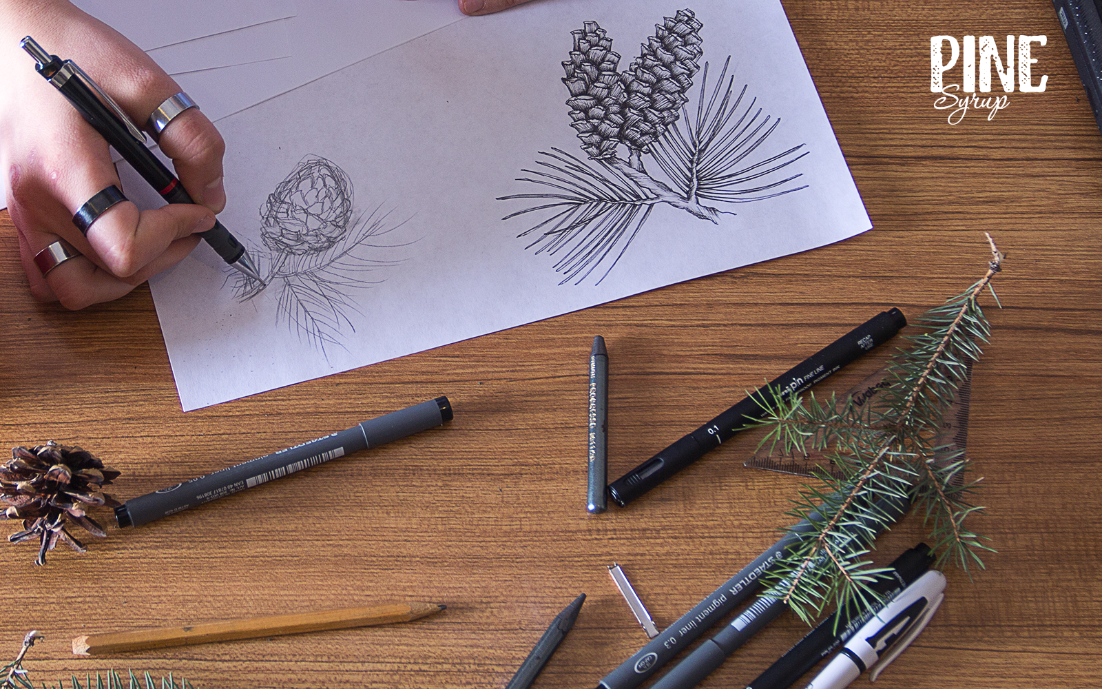 PINE – Packaging Of The World