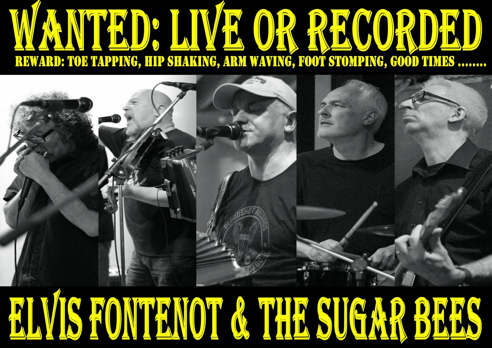 I Dream Of Pies: Elvis Fontenot & The Sugar Bees: Swamp and Sweat