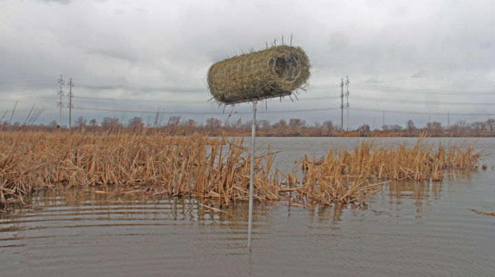 Garnie McEwen Photography