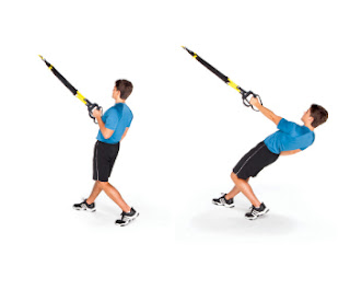 TRX EXERCISES: Upper Body Options