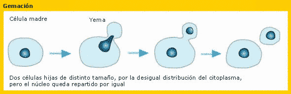 Biologia 7°am: abril 2014