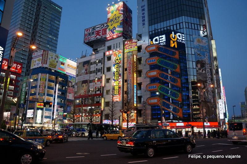 15 lugares para conhecer em Tóquio, Japão - Felipe, o pequeno viajante