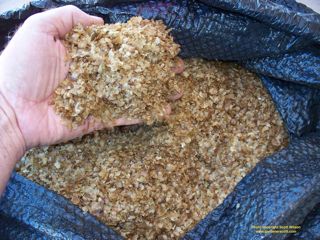 GardenerScott: Coffee in the Garden