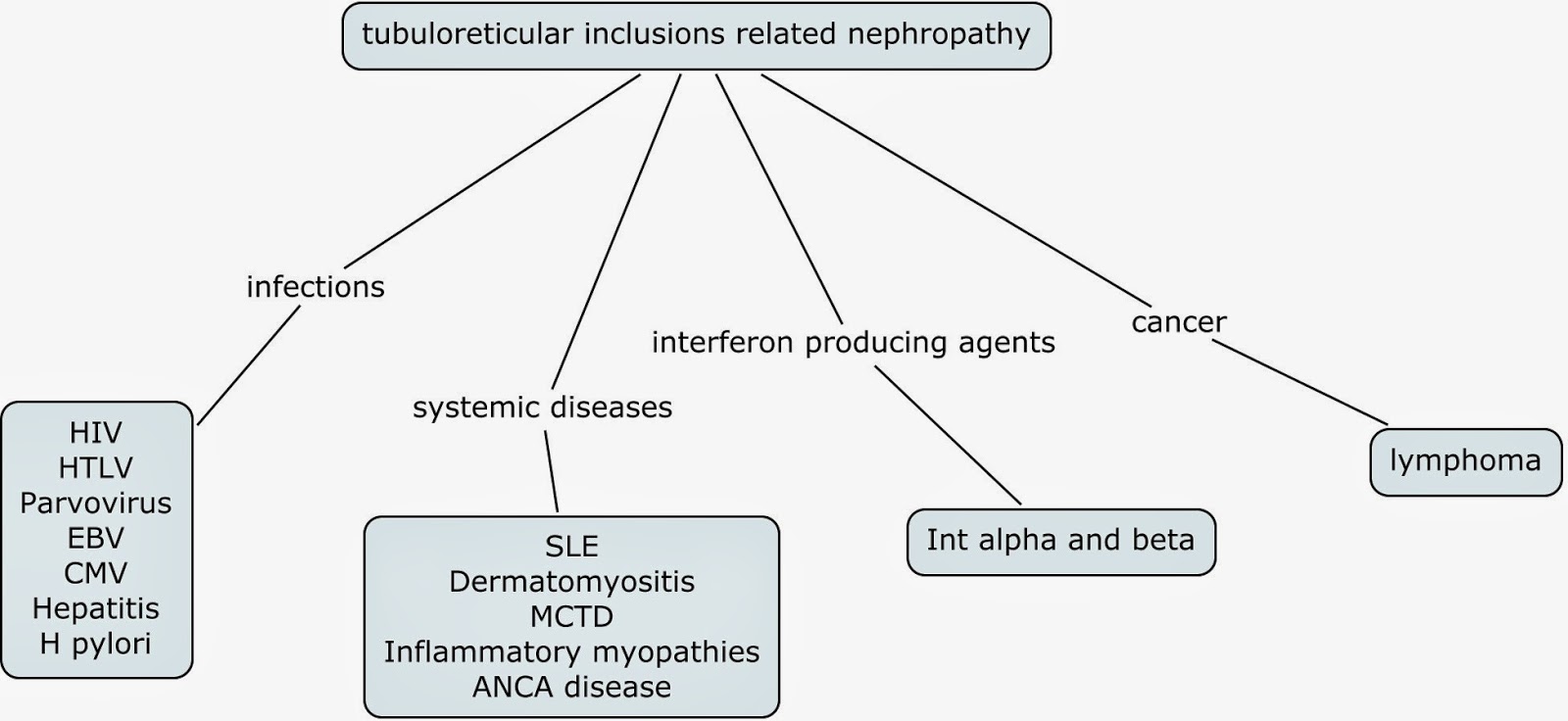 Nephron Power: Tubuloreticular inclusions related nephropathy: Should ...