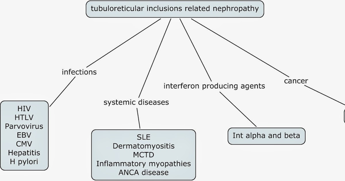 Nephron Power: Tubuloreticular inclusions related nephropathy: Should ...