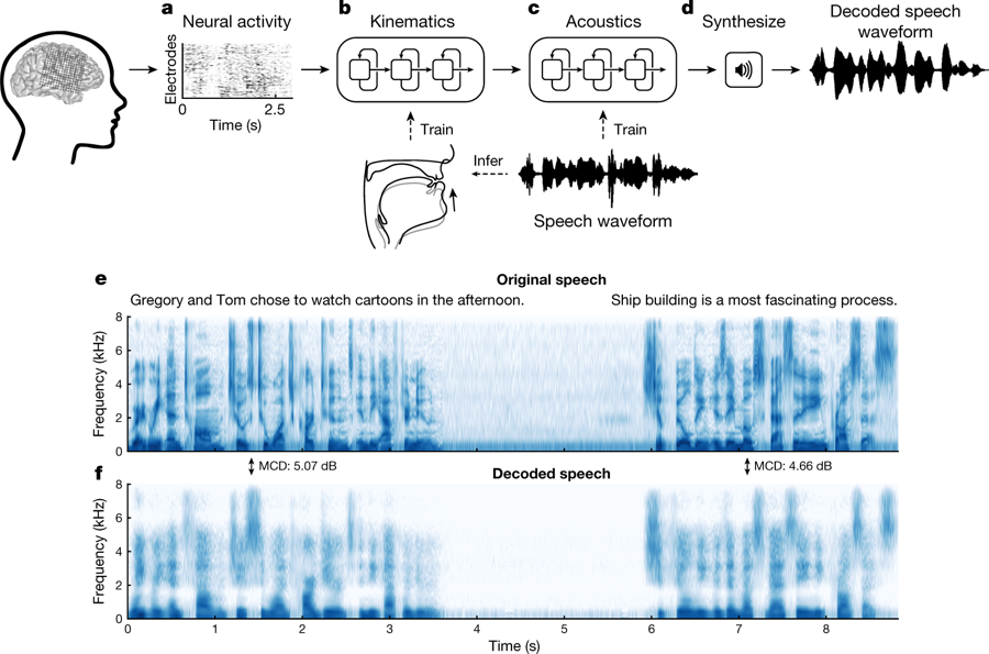 Faculty of Language: ECoG to speech synthesis
