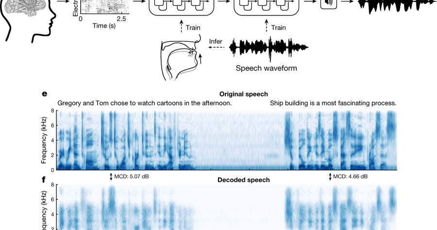Faculty of Language: ECoG to speech synthesis