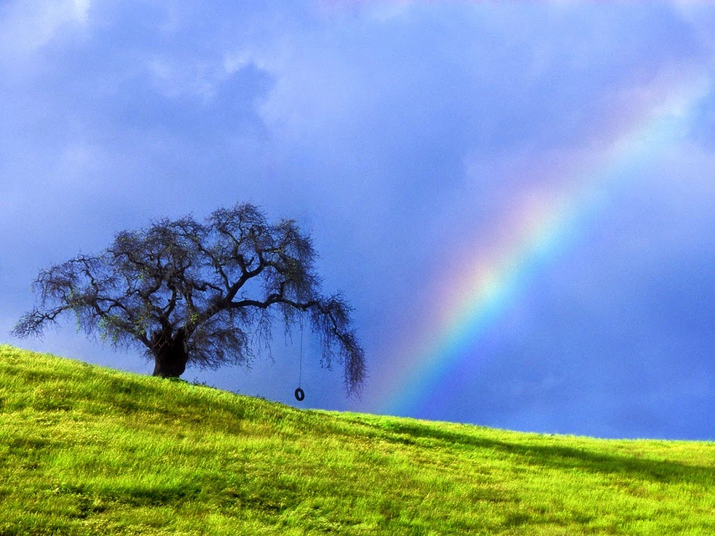 Gambaran Surga Tempat Paling Indah - Asiknya Berbagi Informasi
