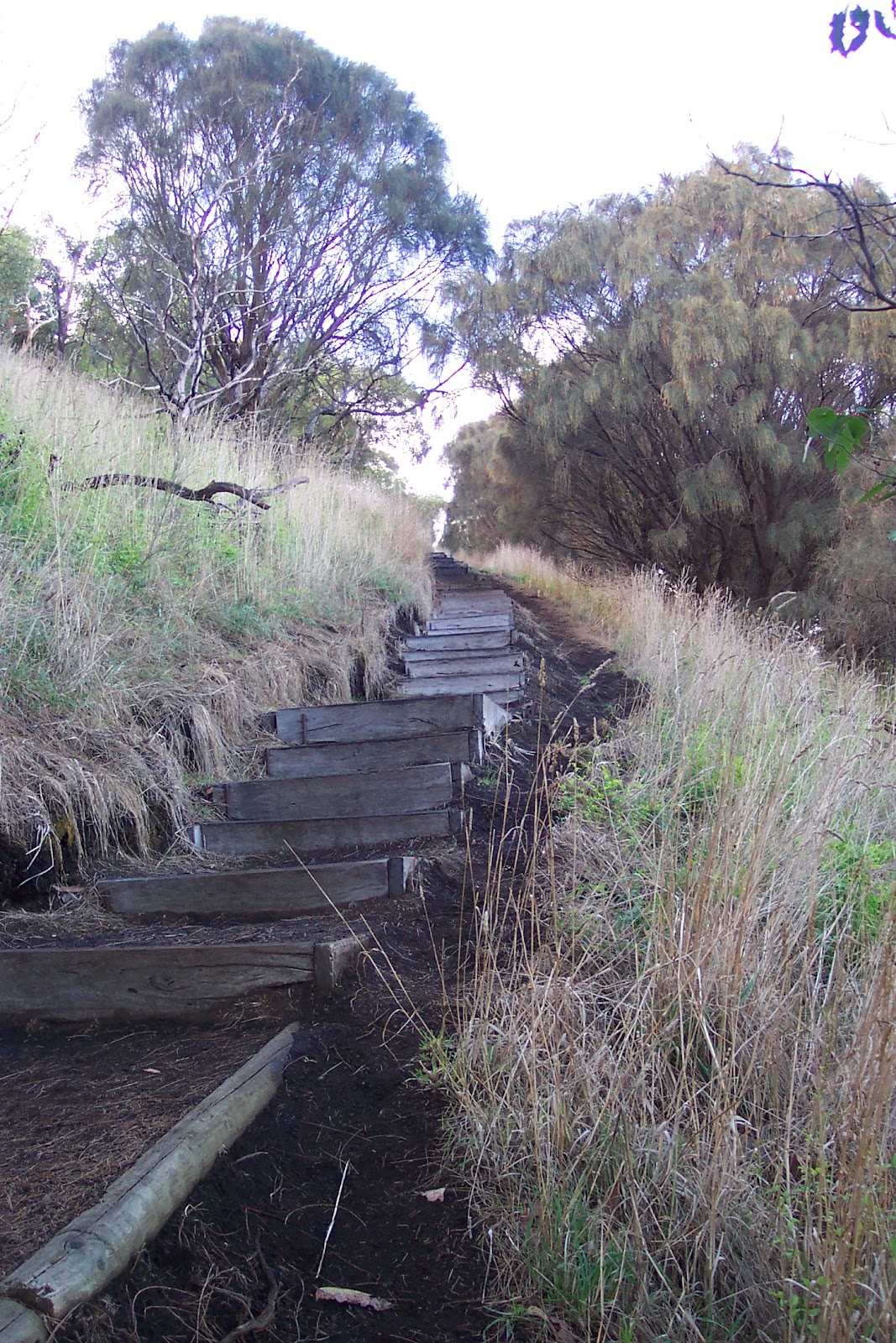 Gus Caravanning: April 2012