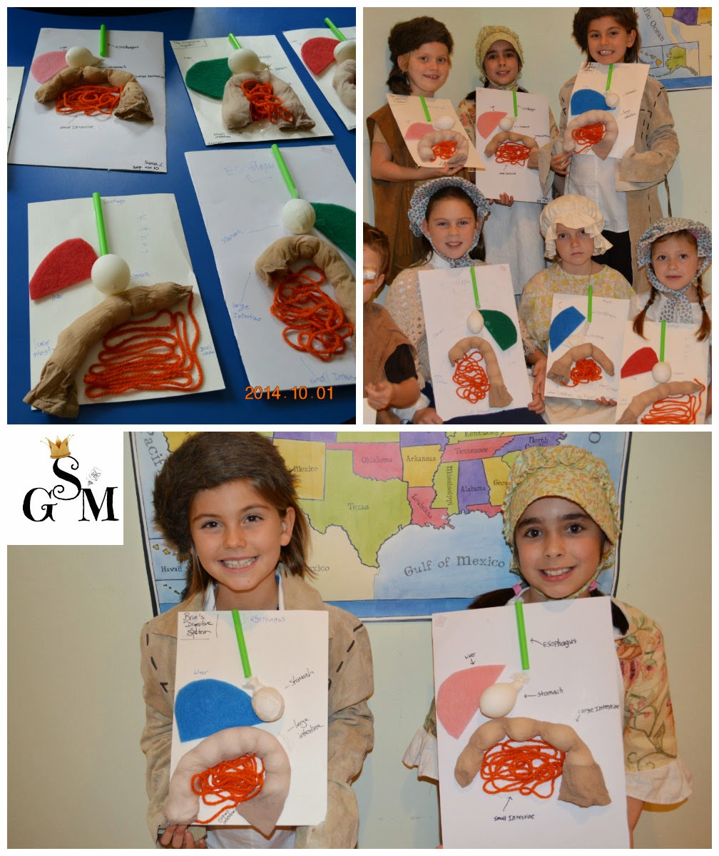 Solagratiamom Digestive System solagratiamom-digestive-system