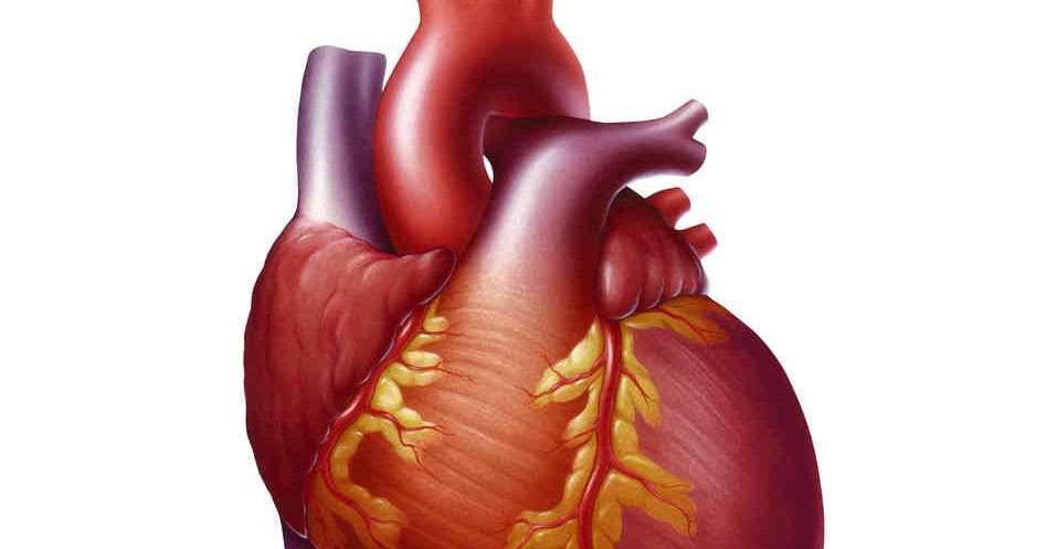 WHEN FAINTING MEANS HEART DISEASE.