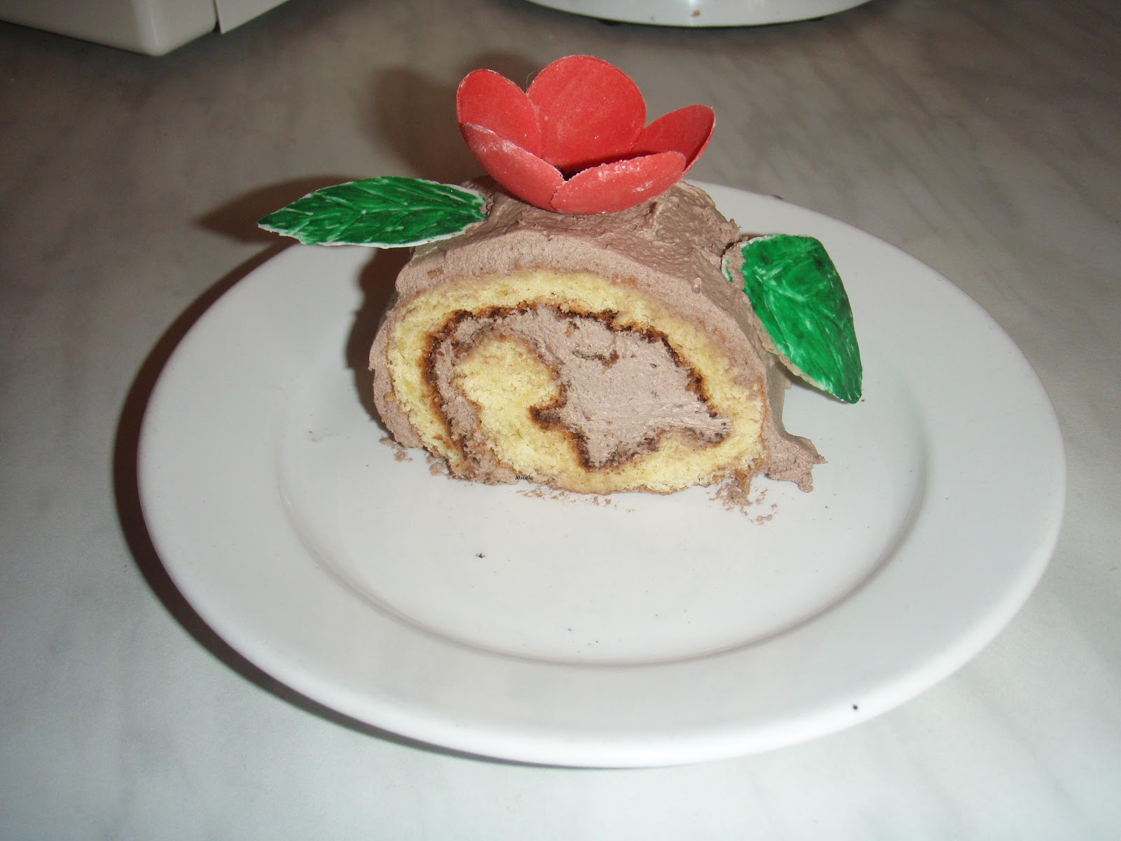 ...Mirela Gospodina: Trunchi de copac