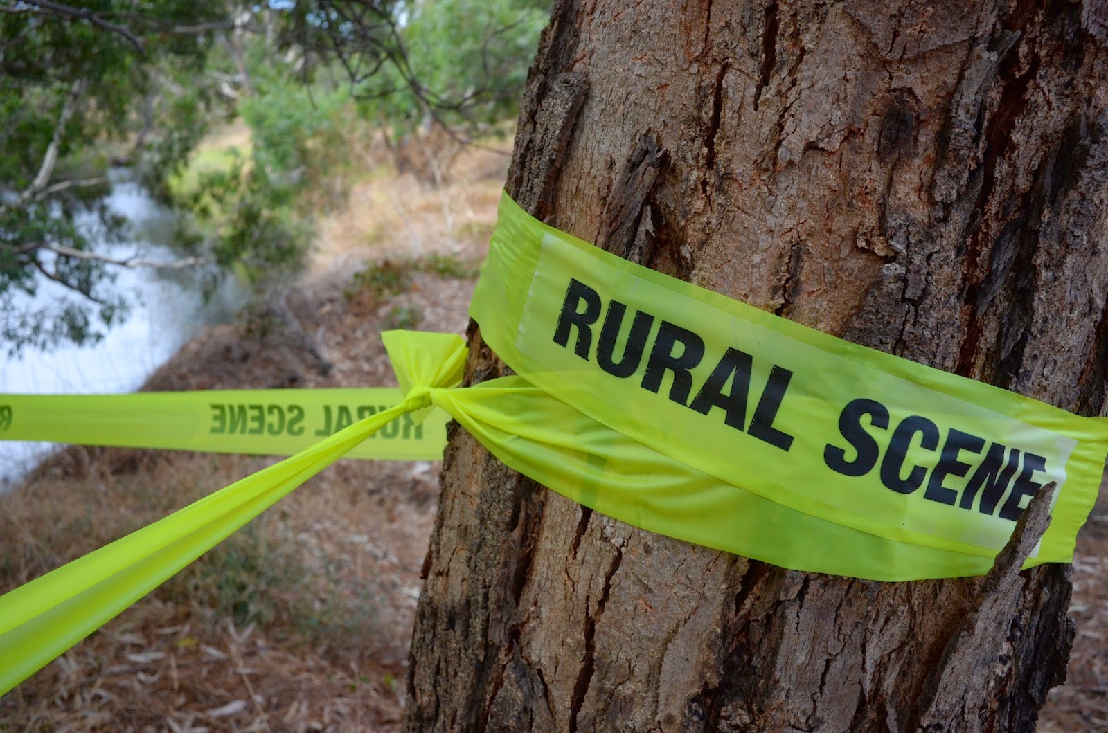 Field Study International: March 2014