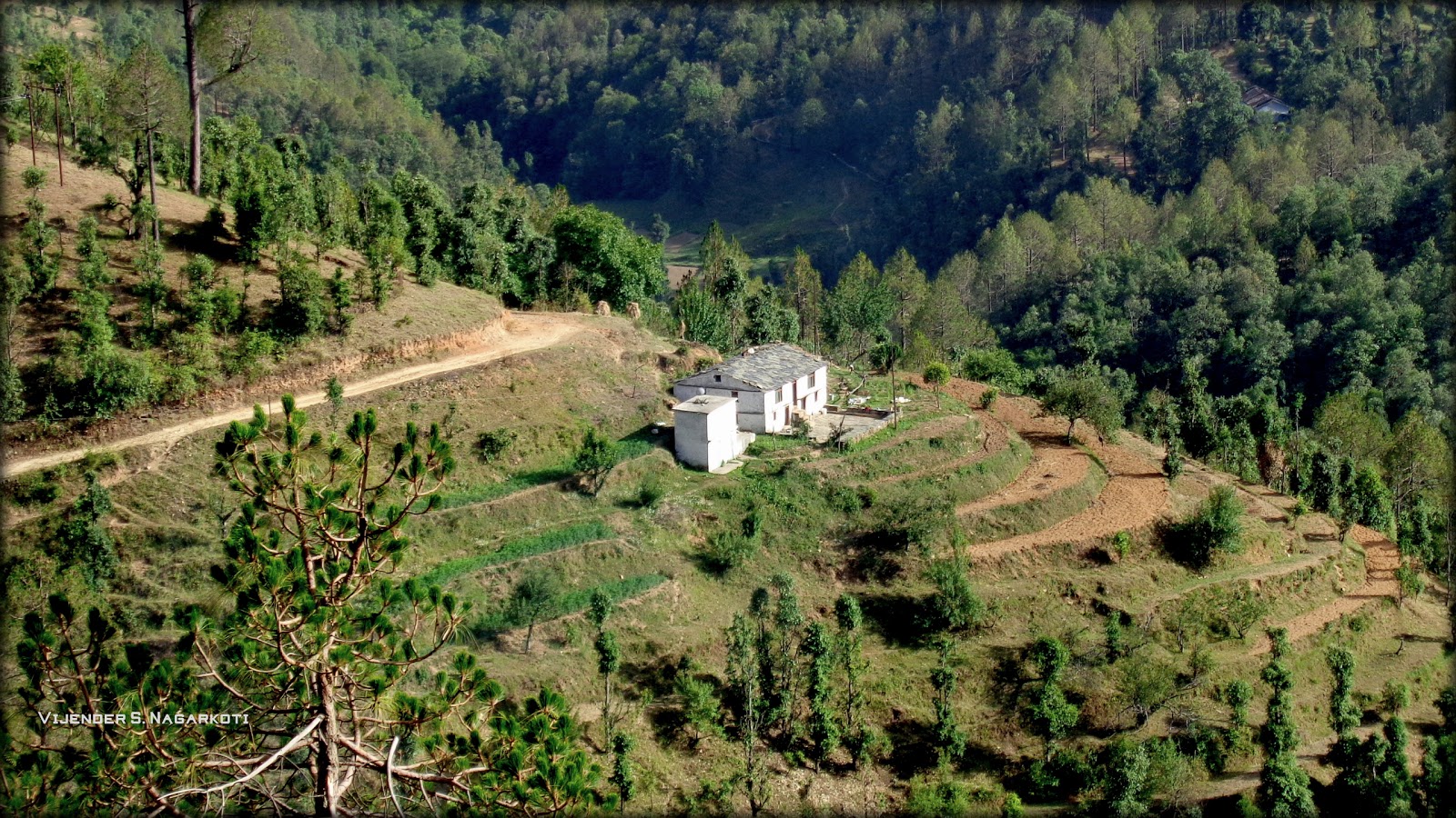 Uttarakhand Tourism: Dwarahat Dunagiri & Pandavkholi Photos