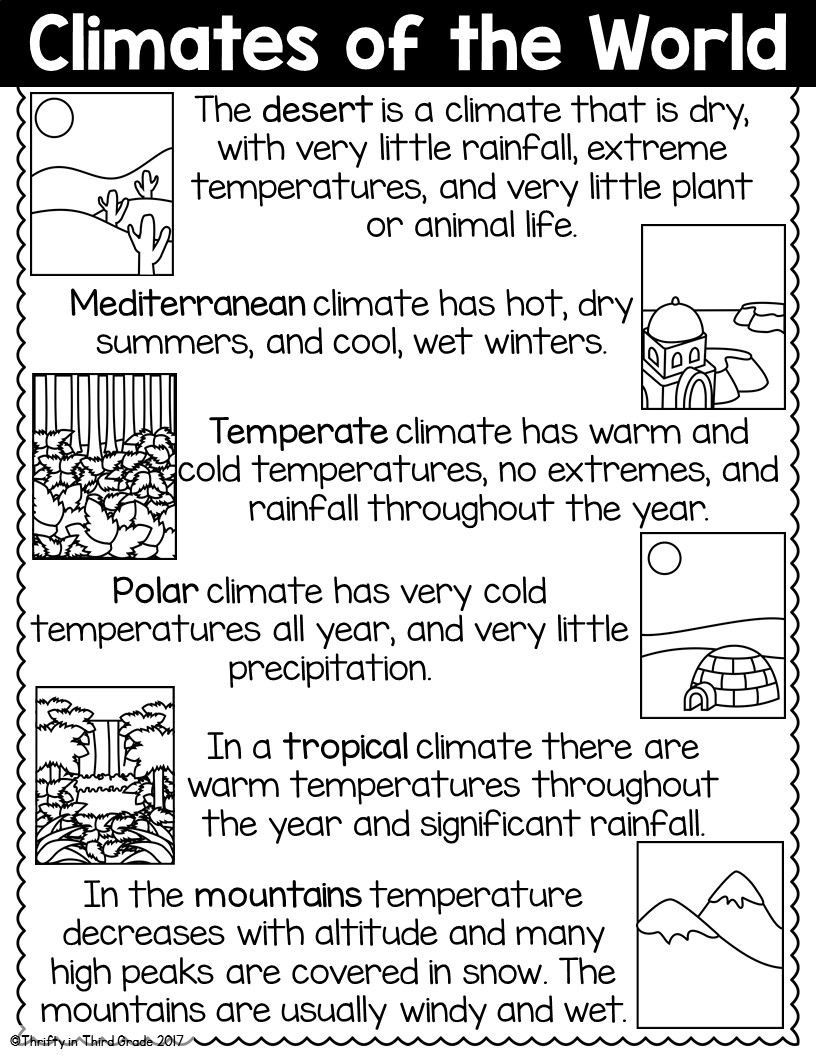 3rd Grade Weather & Climate NGSS | Thrifty in Third Grade