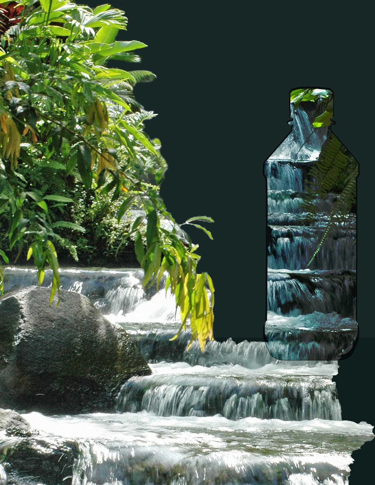 kforshee: Illustrated Ad for FIJI water