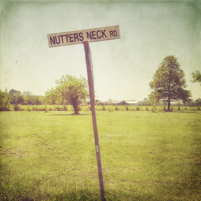 The Great Ancestral Hunt: I'm a Nutter...