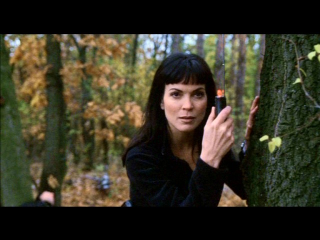 Shameless Pile of Stuff: Movie Review: Interceptor Force 2