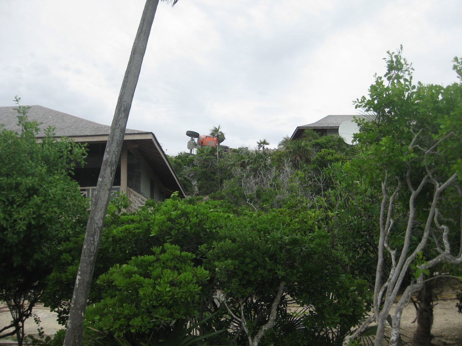 Choosing The Better Life: Island Construction - A Near Miss