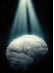 Neuropolis And The Human Brain Project: Can A Computer Solve One Of The ...