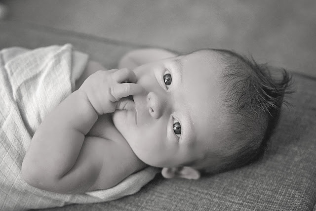 Megan G. Photography: Baby Gray