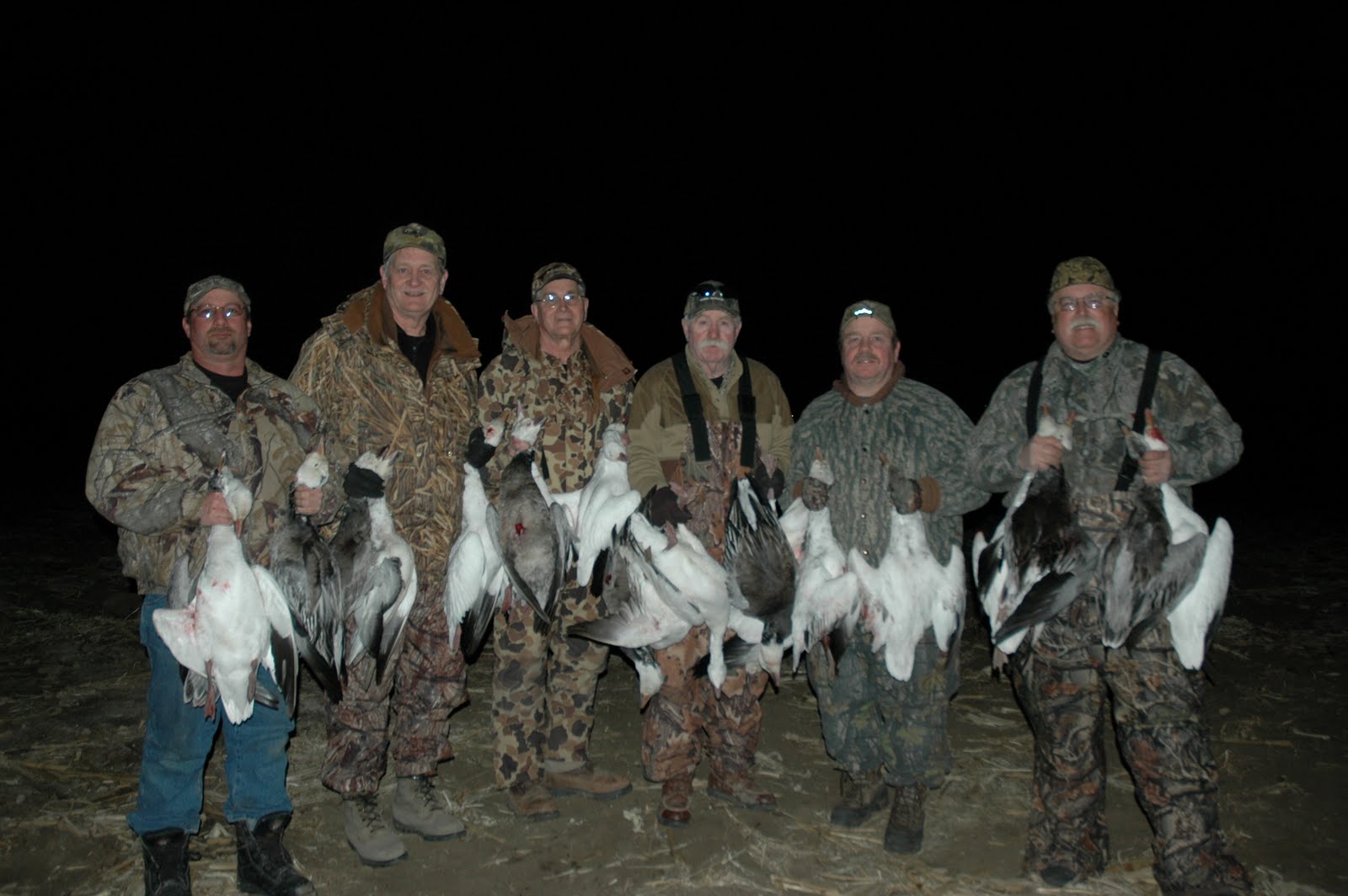 Snow Goose Migration Reports - Mound City, Missouri