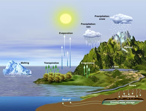 Aprendamos Entretenido: Componentes del ecosistema
