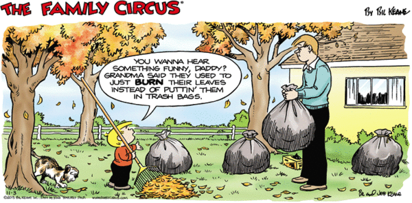 Seward Concordia Neighborhood: Raking and Burning Leaves