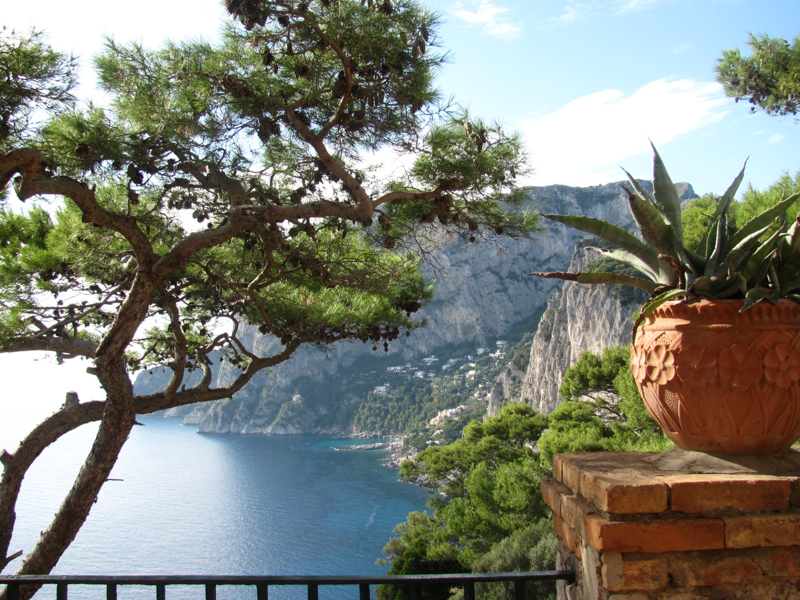 Tra dolce ed amaro: Die Atemberaubende: Isola di Capri