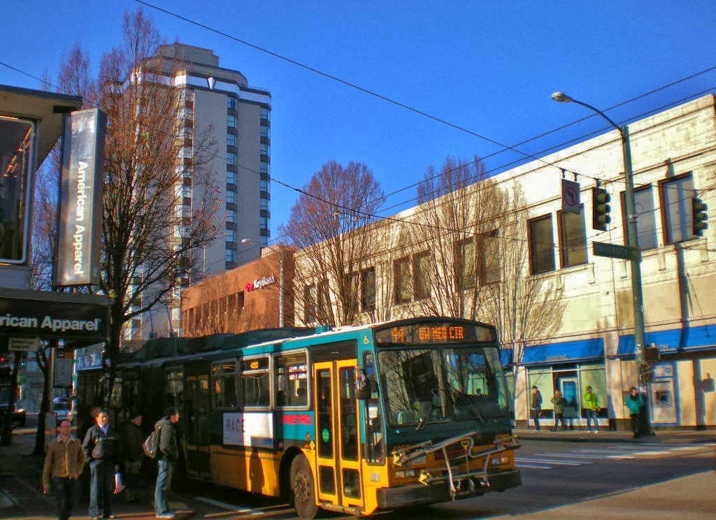 Urban Landscape, Native Landscape: December in Seattle