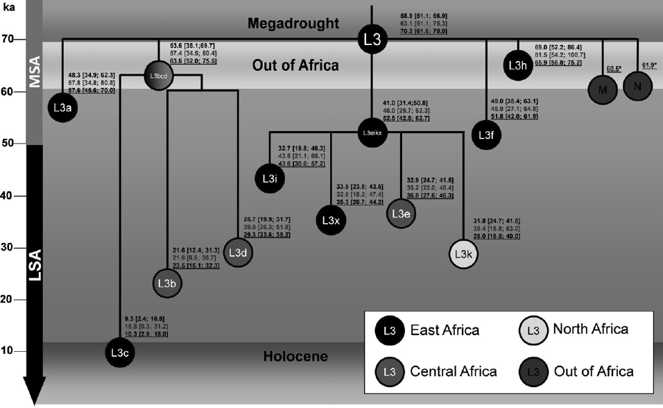 Africa, the cradle of humanity and Maternal Haplogroup L