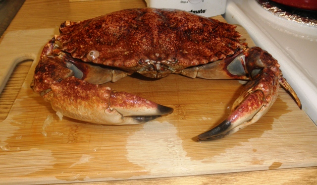 CristaLee: Garlic and Chile Roasted Rock Crab