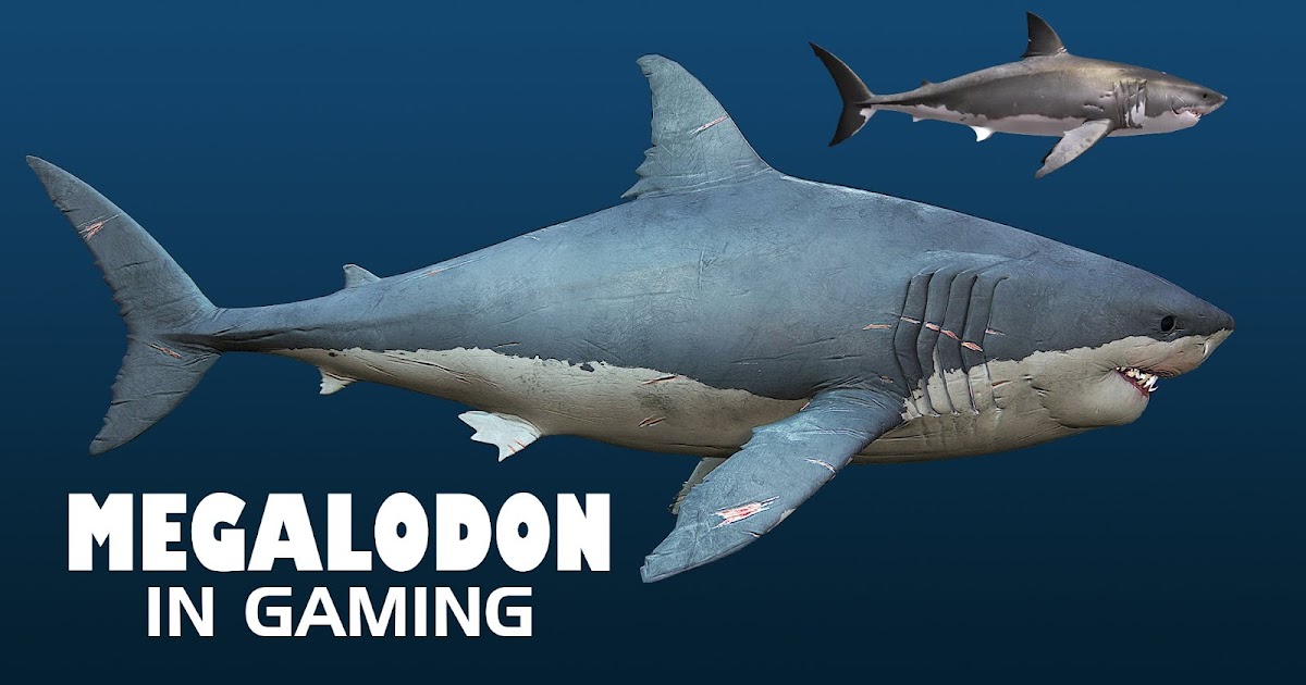 Final : El Megadolon