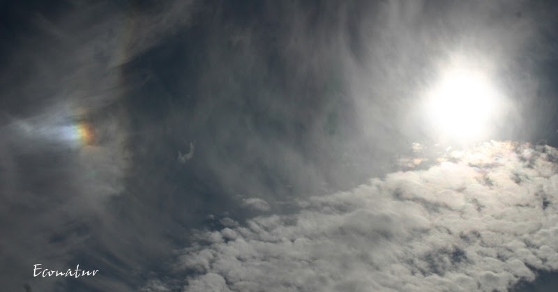 Amantenatura: Ojo de Sol, falso Sol o Parhelio