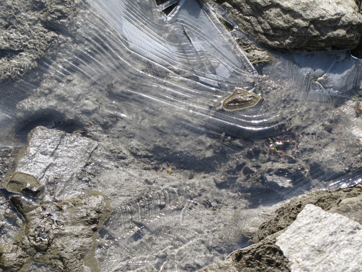 Photo Talking : Ice Ripples – Nature’s Amazing Creations