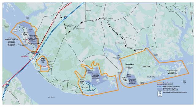 Pluff Mud Perspectives: 'Tis the Season: My CBC no. 3: Santee National ...