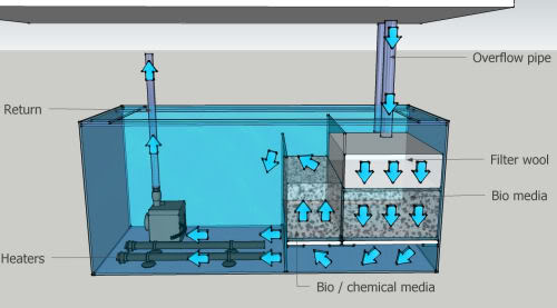 Keindahan Akuarium dan Penghuninya: Harga Filter Akuarium dan Jenisnya